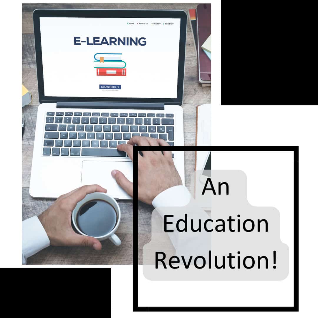 What We’ve Learned about E-Learning - The Voice Market